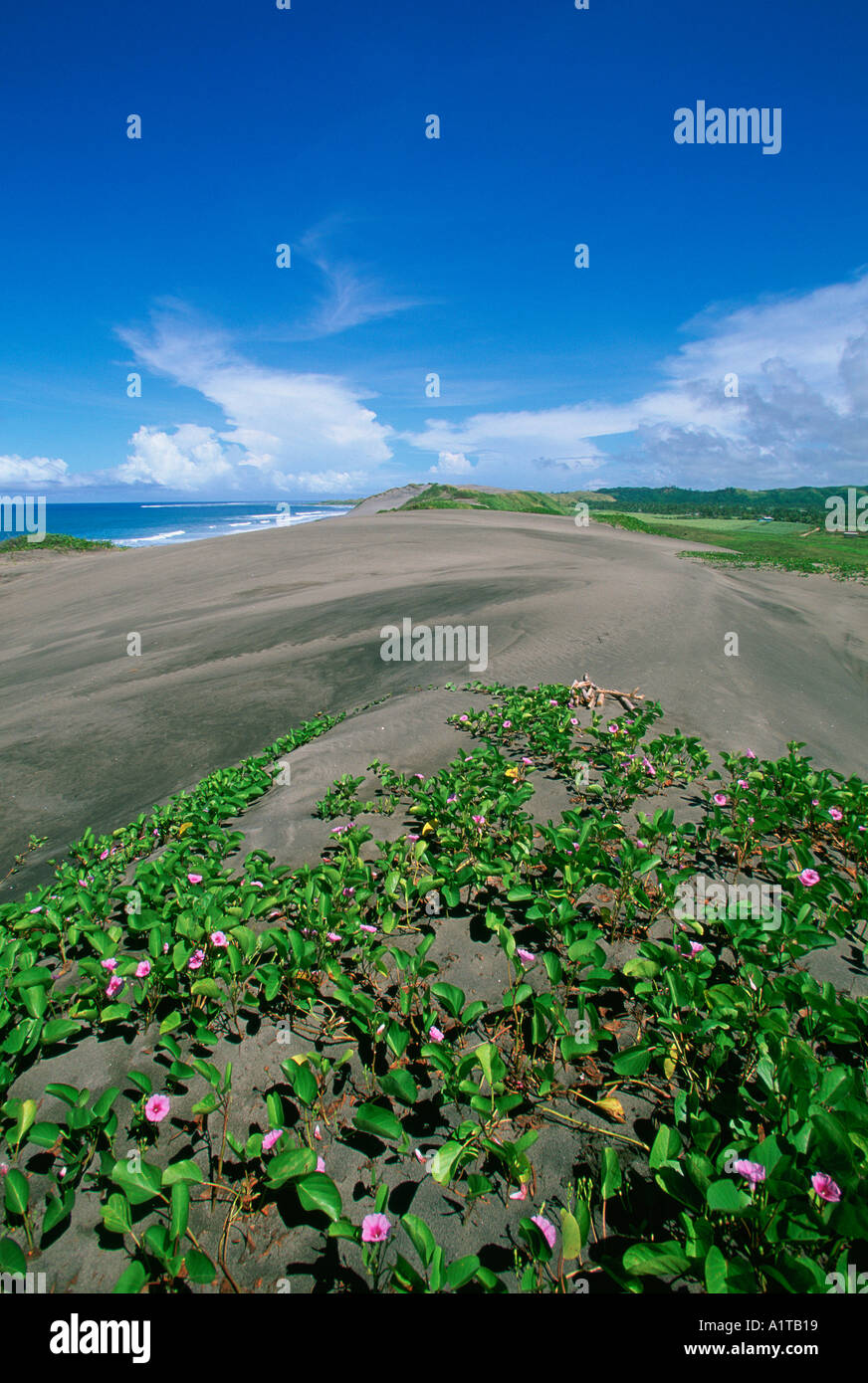 Sigatoka sand dunes fiji hi-res stock photography and images - Alamy