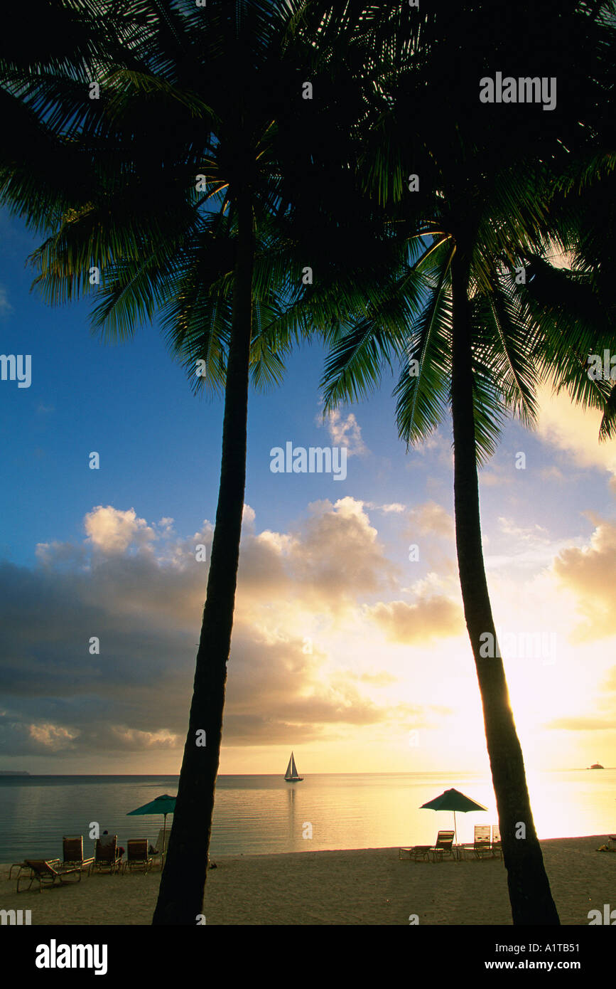 Micronesia palau beach beaches hi-res stock photography and images - Alamy