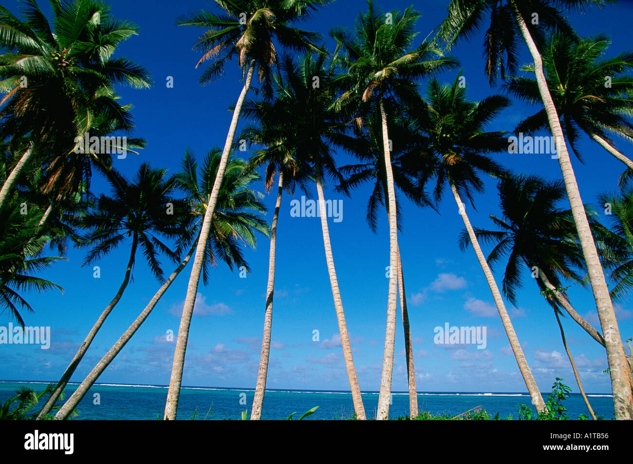 Melekeok hi-res stock photography and images - Alamy