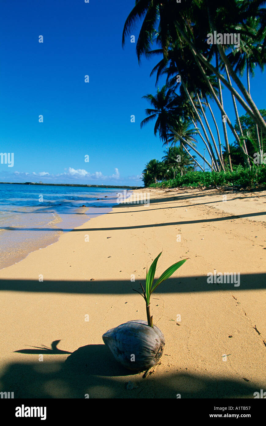 Melekeok hi-res stock photography and images - Alamy