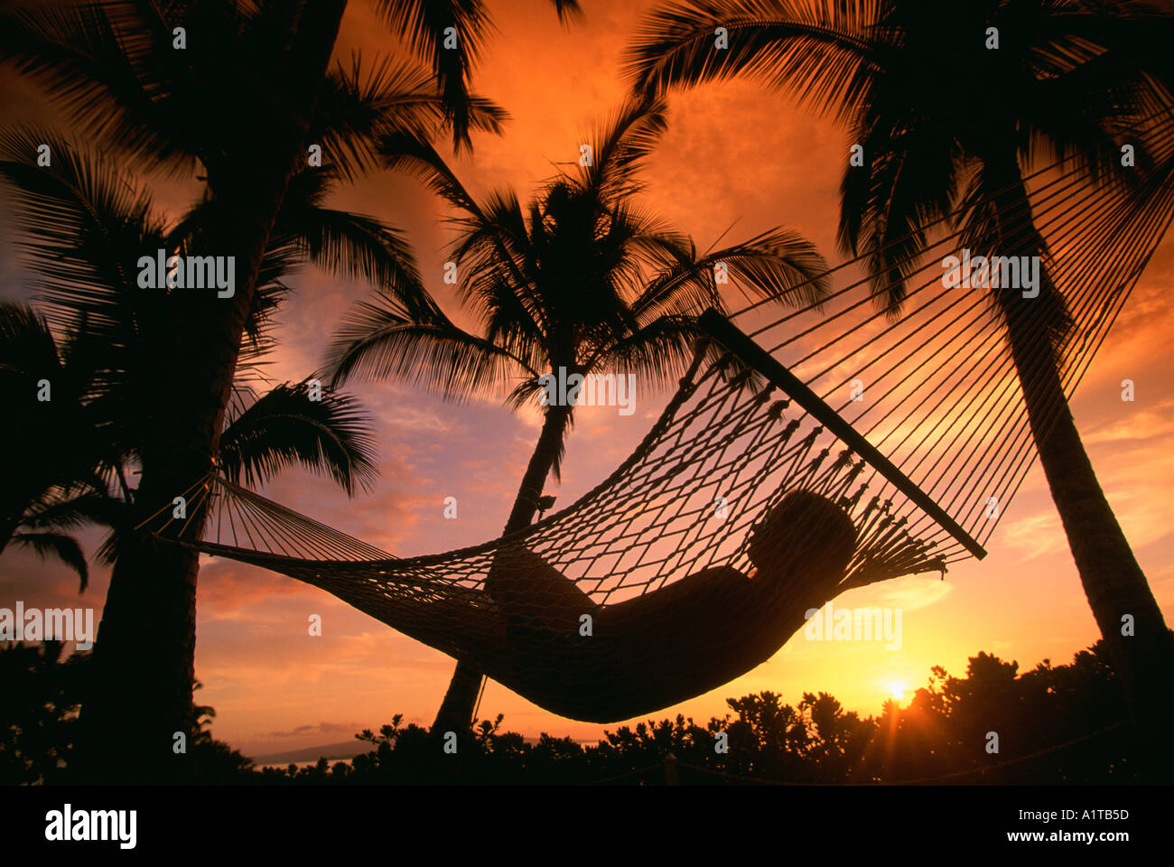 Hammock Sunset Maui Hawaii USA Stock Photo - Alamy