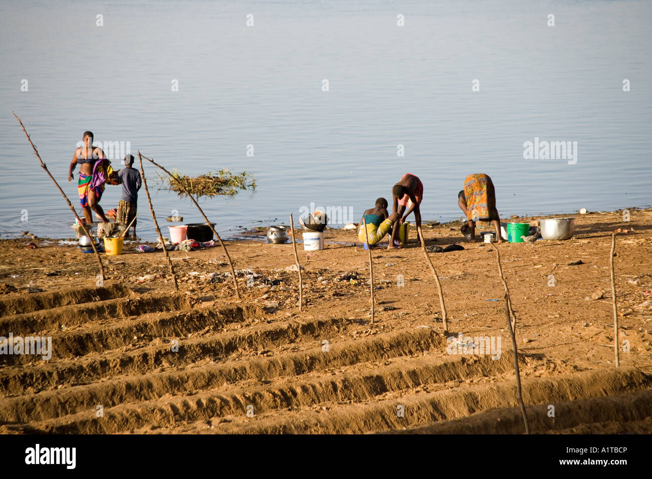 Niger river farming hi-res stock photography and images - Alamy