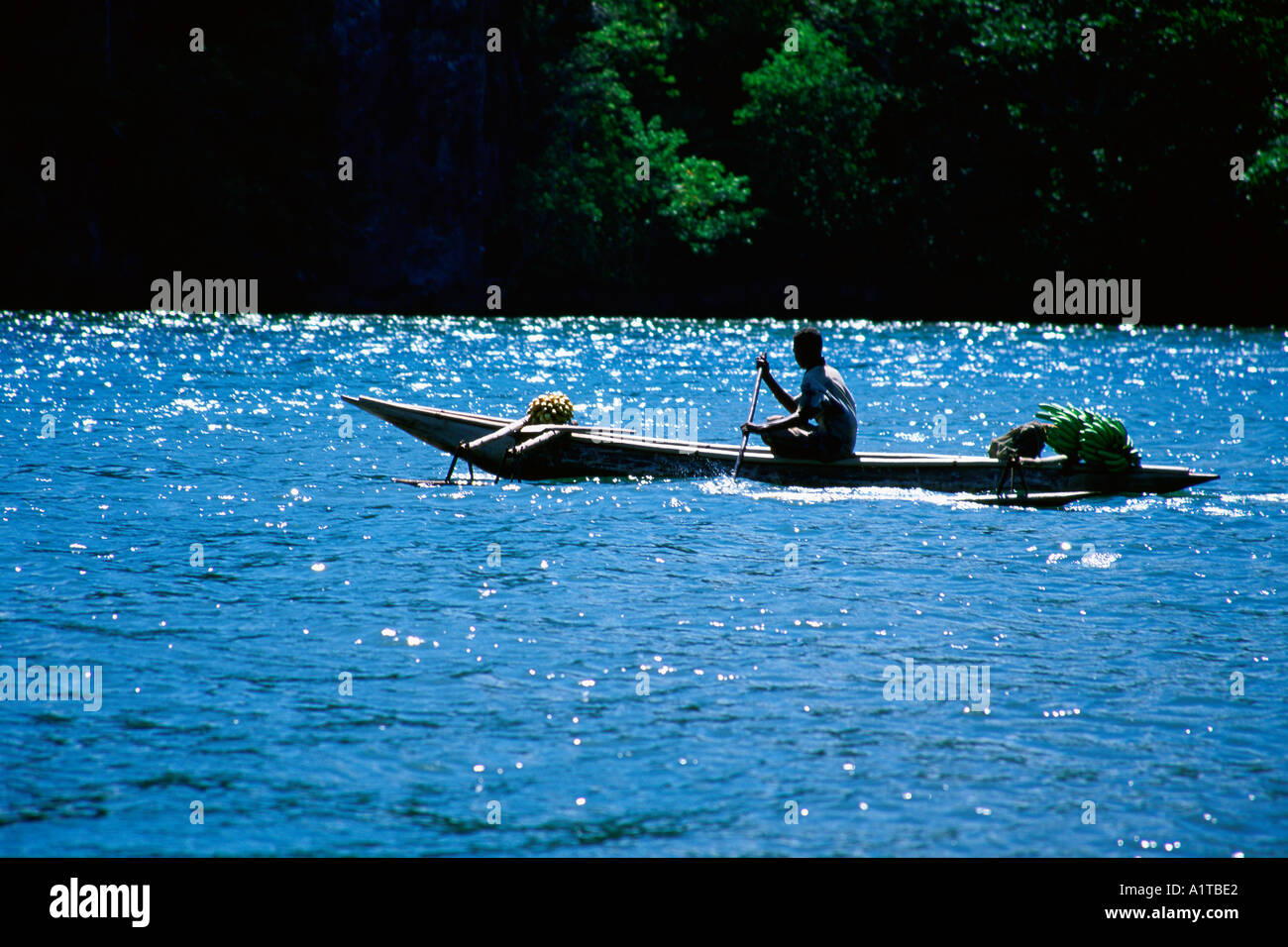 Tuji hi-res stock photography and images - Alamy