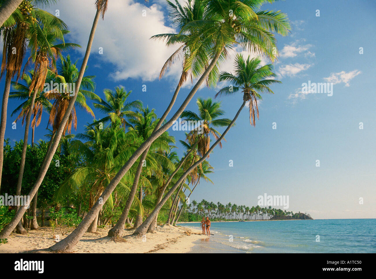 Malolo lailai island hi-res stock photography and images - Alamy