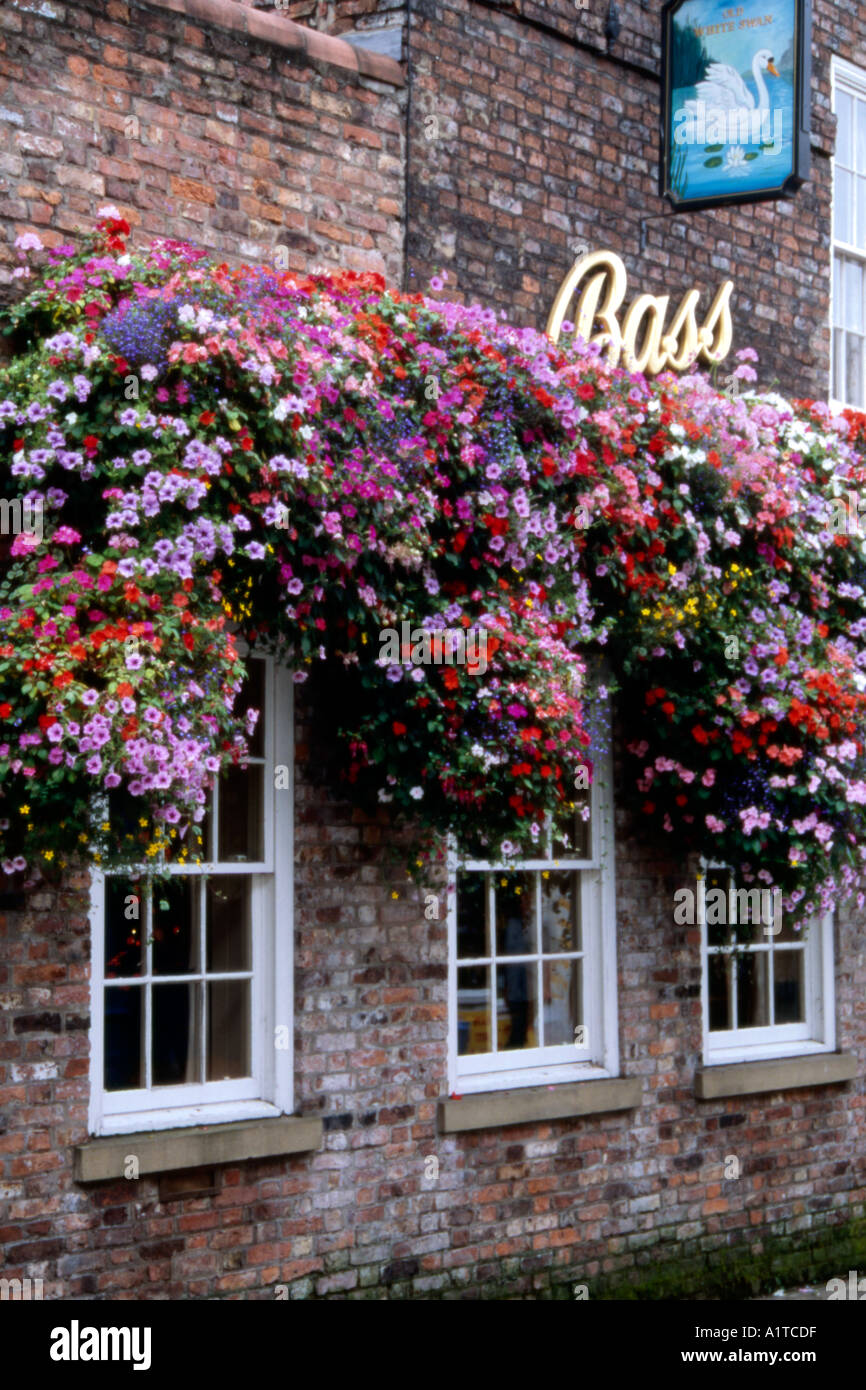 Hanging basket on building hi-res stock photography and images - Alamy