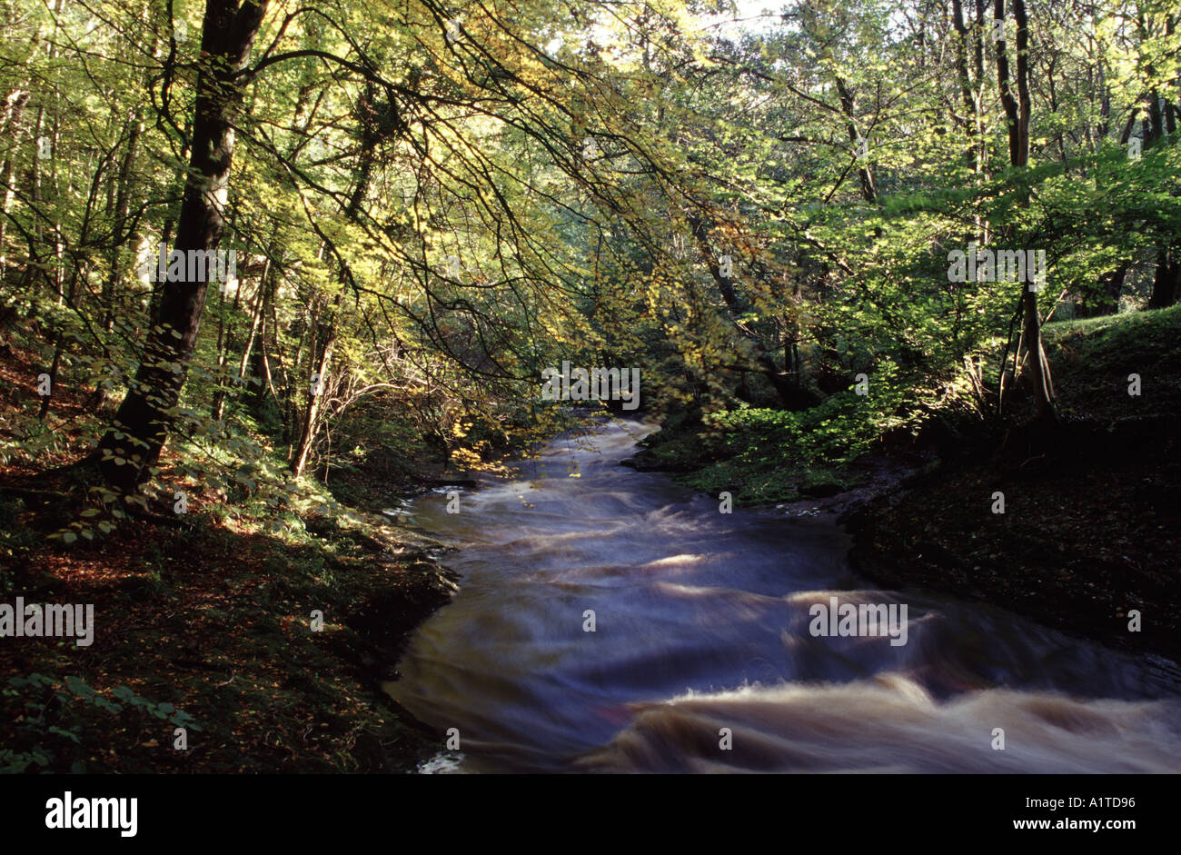 River Gelt High Resolution Stock Photography and Images - Alamy