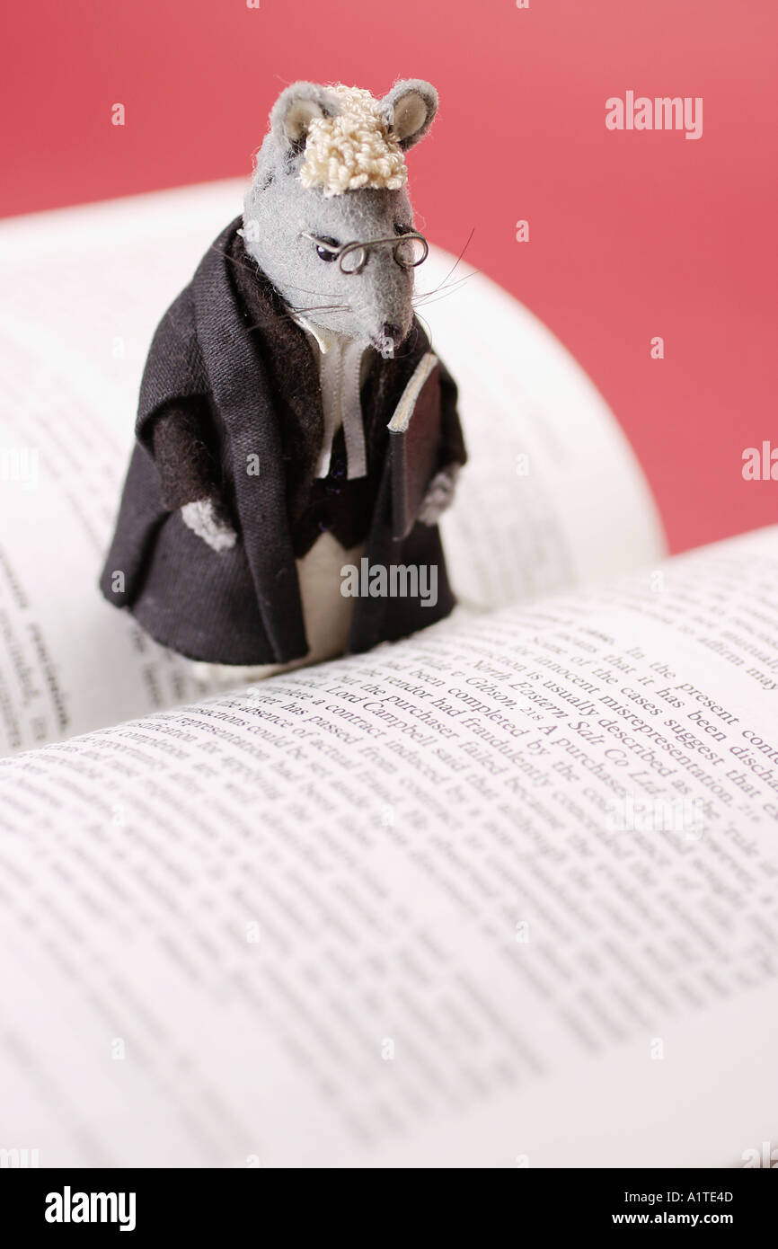 Toy Lawyer Mouse and Book Stock Photo - Alamy
