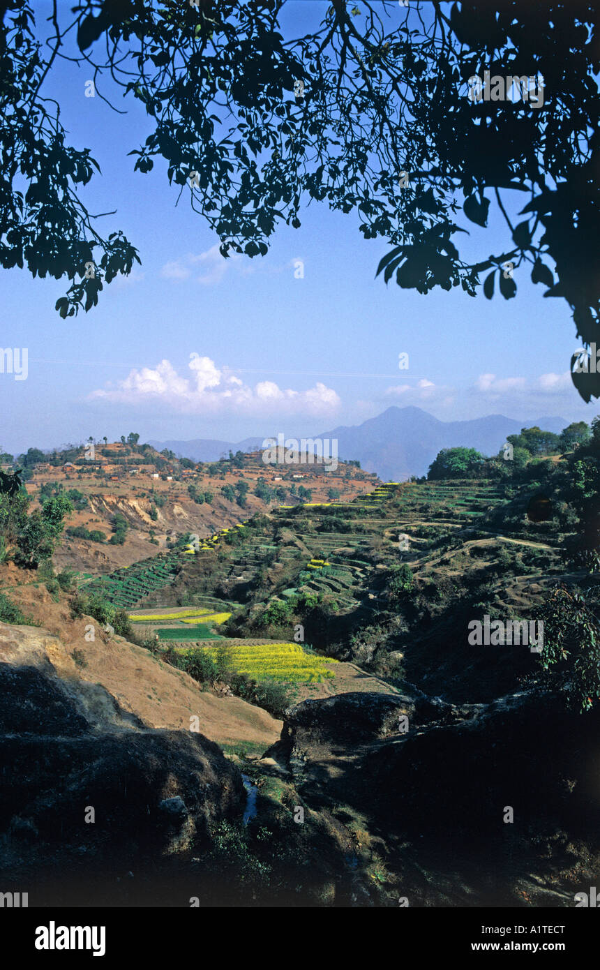 mountain terracing near village of dhulikel kathmandu valley nepal ...