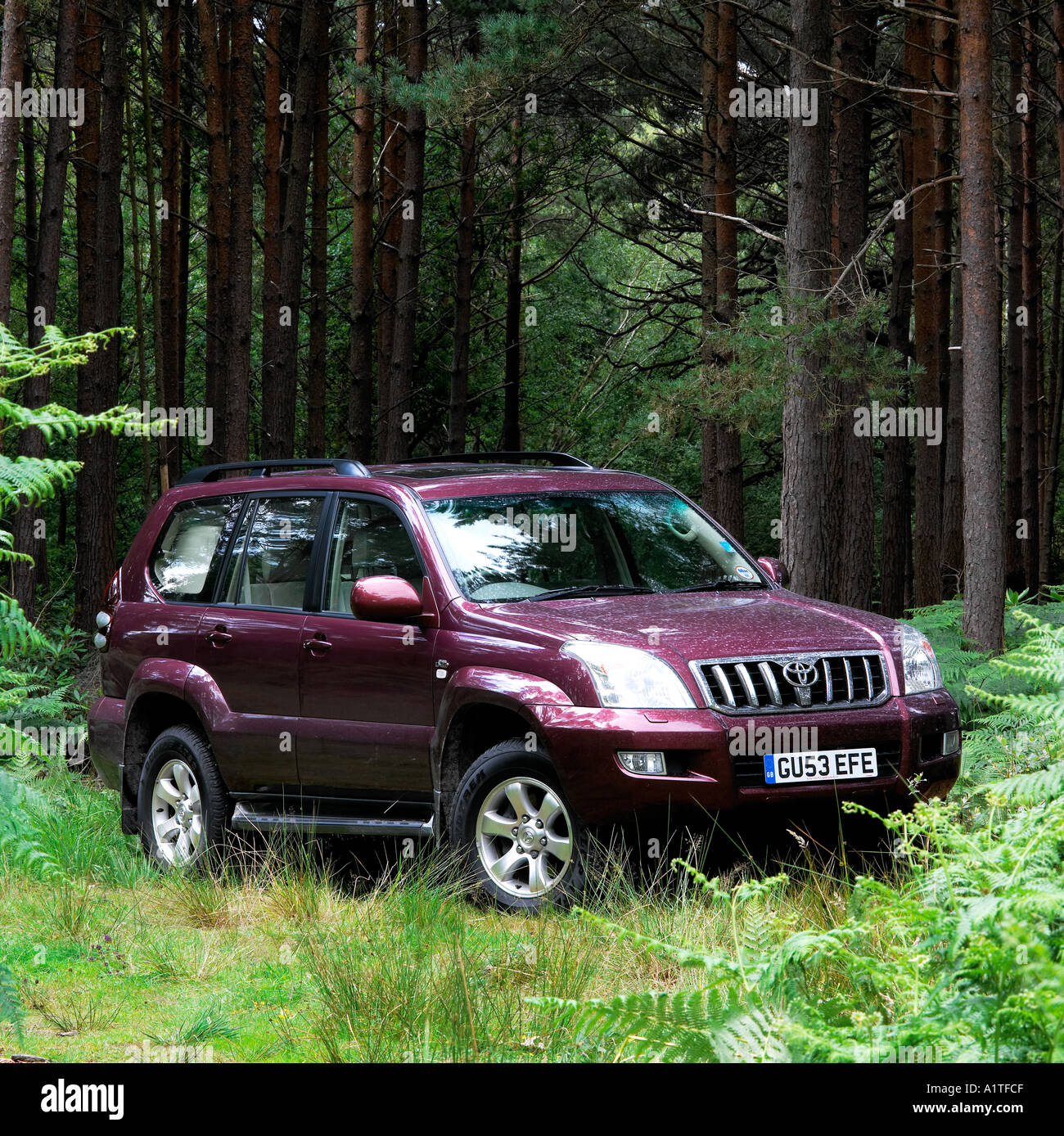 2003 toyota hi-res stock photography and images - Alamy