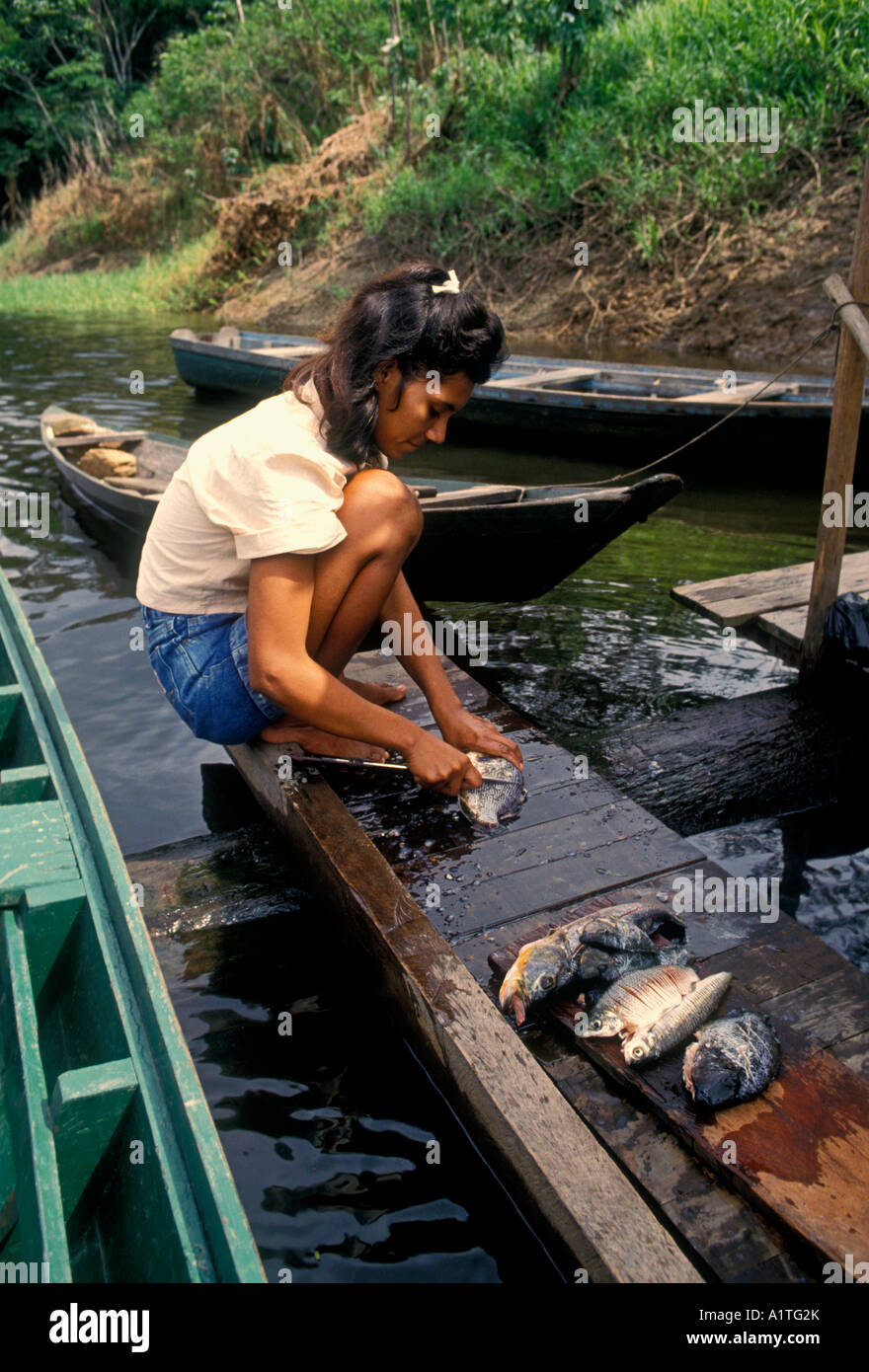 1, one, Brazilian girl, teen, teenage girl, teenager, cleaning fish ...