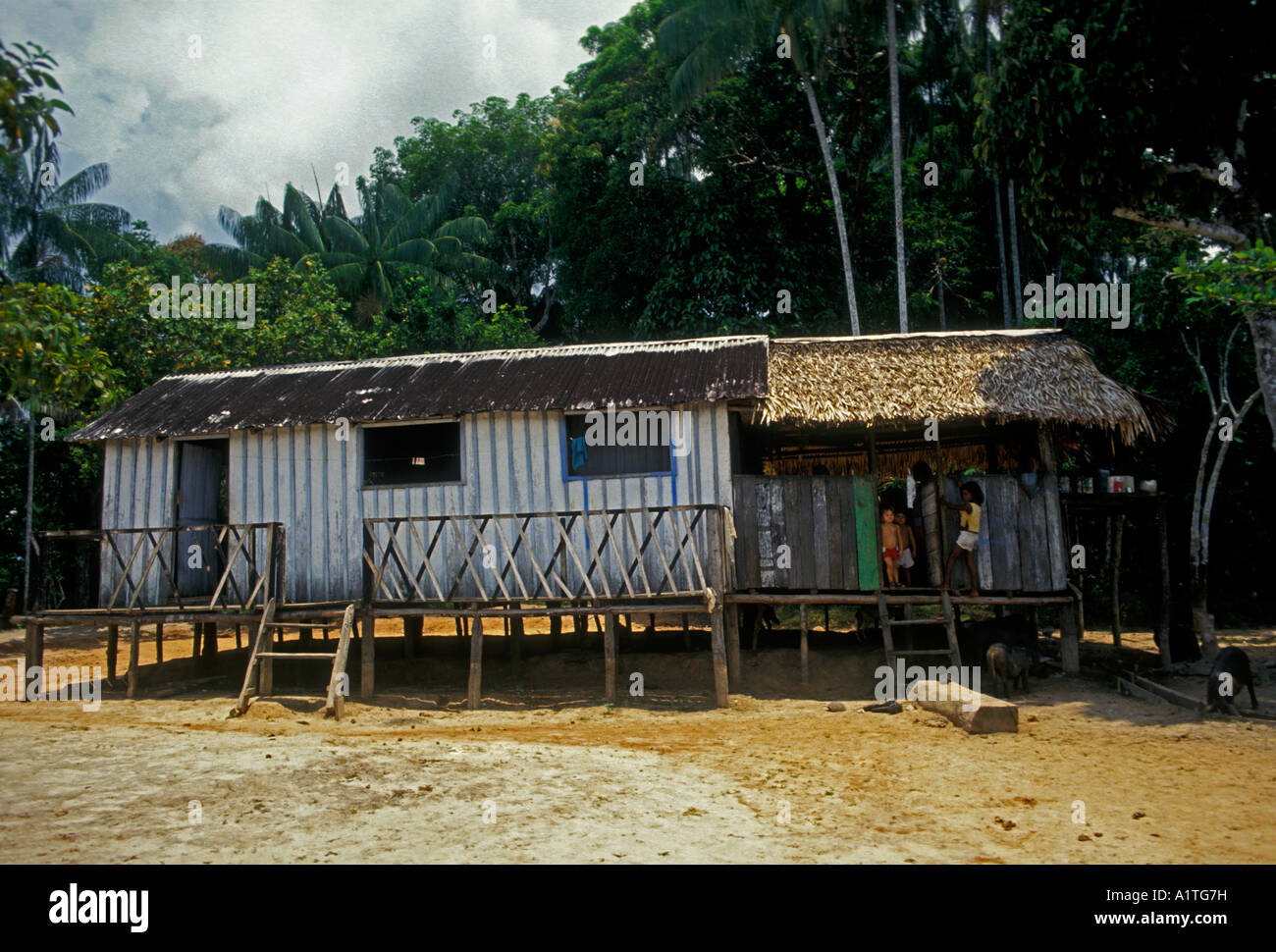 House stilts swamp hi-res stock photography and images - Alamy