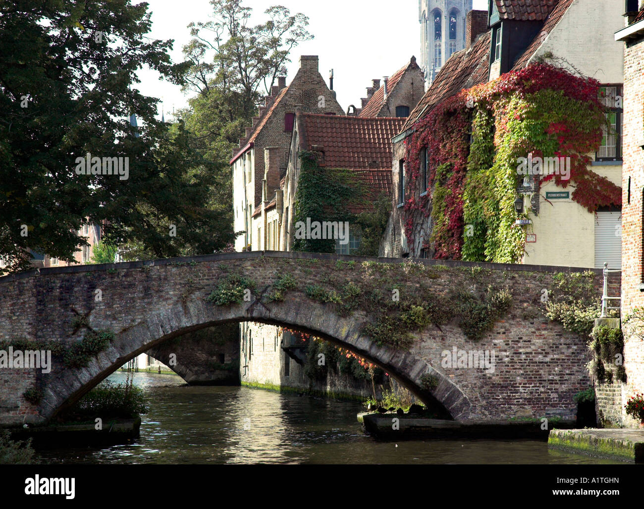 Architecture building buildings arch ivy hi-res stock photography and ...