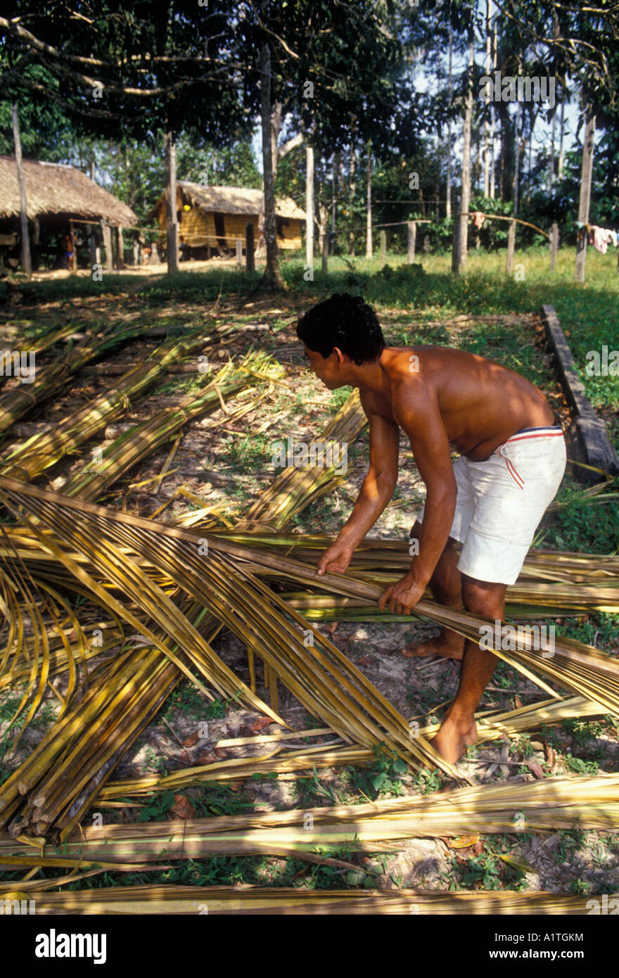 Caboclo amazonas basin hi-res stock photography and images - Alamy