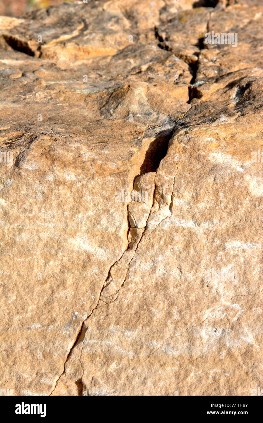 Reddish, yellowish Sandstone - stone surface Stock Photo - Alamy