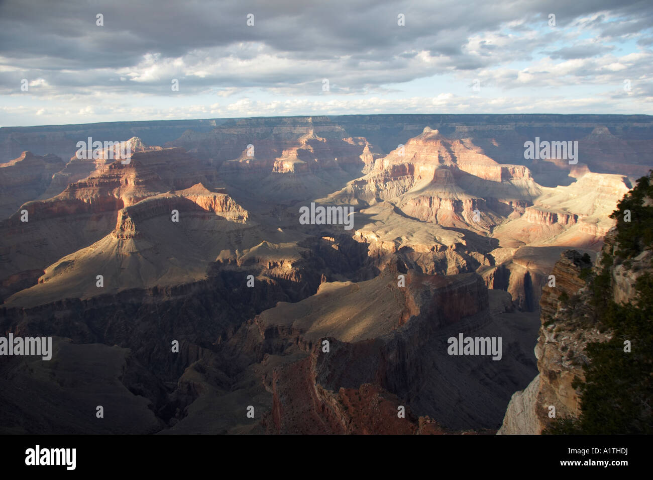 View from Hopi Point ( into the Grand Canyon (South Rim Stock Photo - Alamy