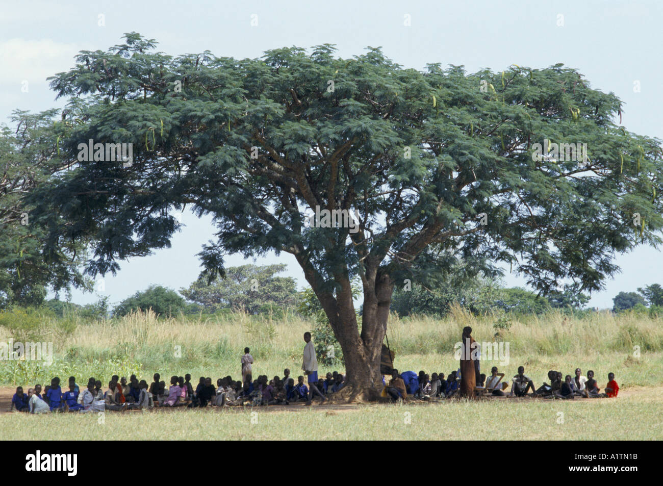 School under a tree hi-res stock photography and images - Alamy