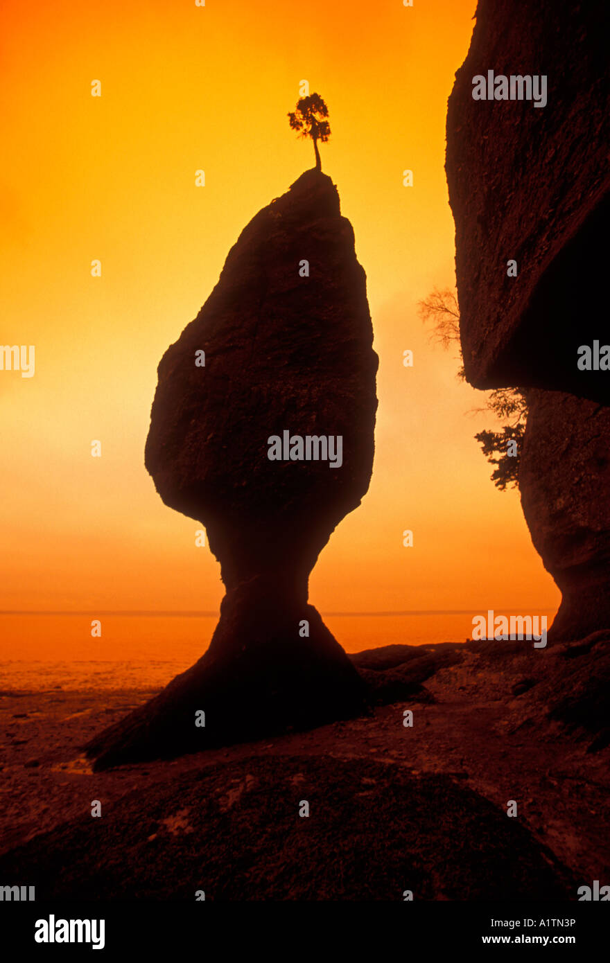 Shepody Bay Beach, Bay of Fundy, Baie de Fundy, Hopewell Cape, New ...