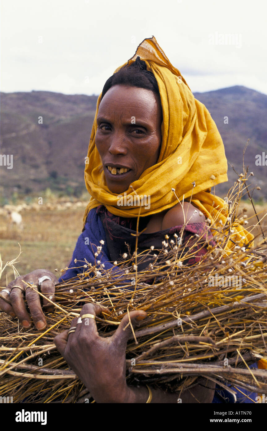 WOMAN COLLECTING KINDLING FOR FIRE ETHIOPIA Stock Photo - Alamy
