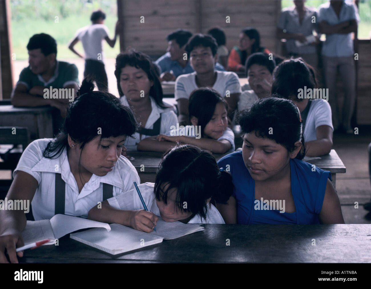 PARENTS AND CHILDREN STUDY TOGETHER IN PRIMARY SCHOOL AMAZONIA PERU ...