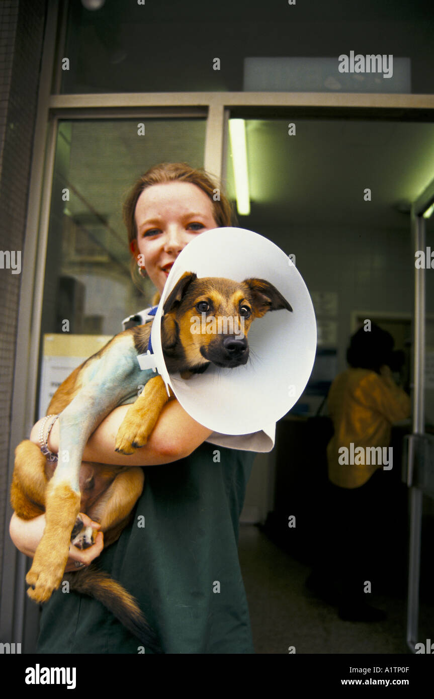 FEMALE VET WITH DOG BLUE CROSS HOSPITAL LONDON 1994 Stock Photo - Alamy