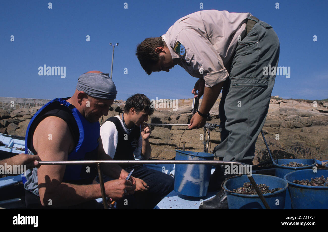 Inspector weighing day s permitted 6 kilo quota of goose barnacacles on ...