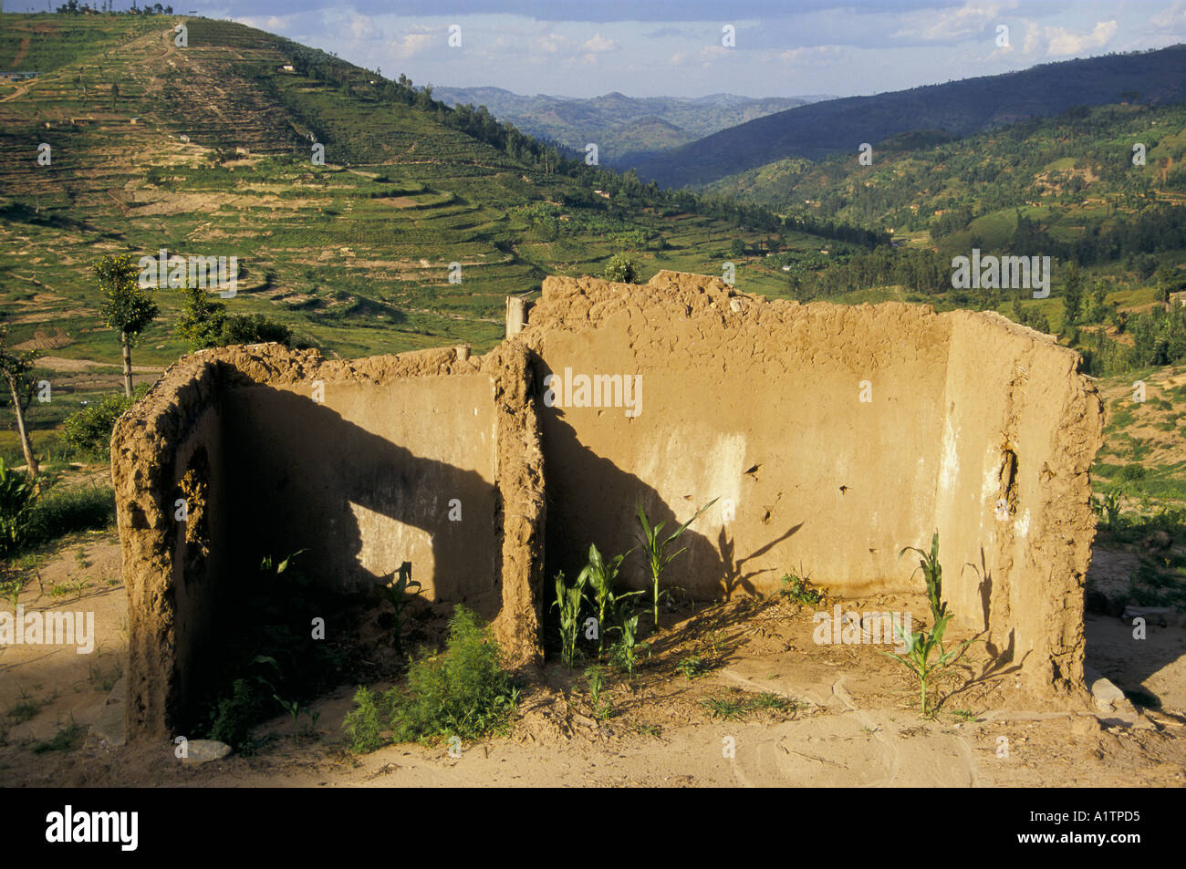 Genocide massacre rwanda rwandan hi-res stock photography and images ...