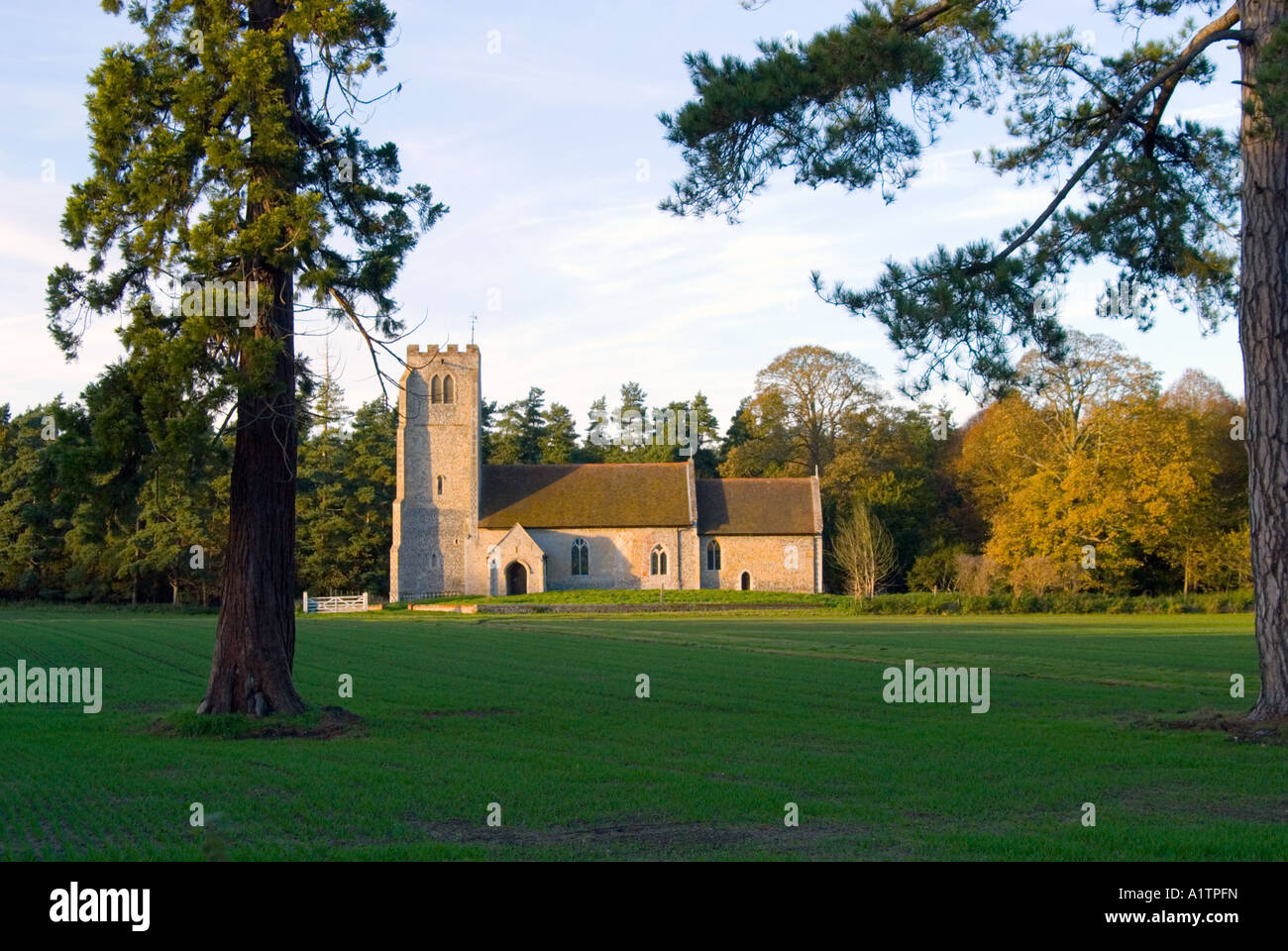 Church in the Forest Stock Photo - Alamy