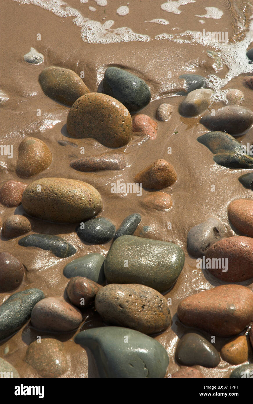 rocks on the beach in the sand Stock Photo - Alamy