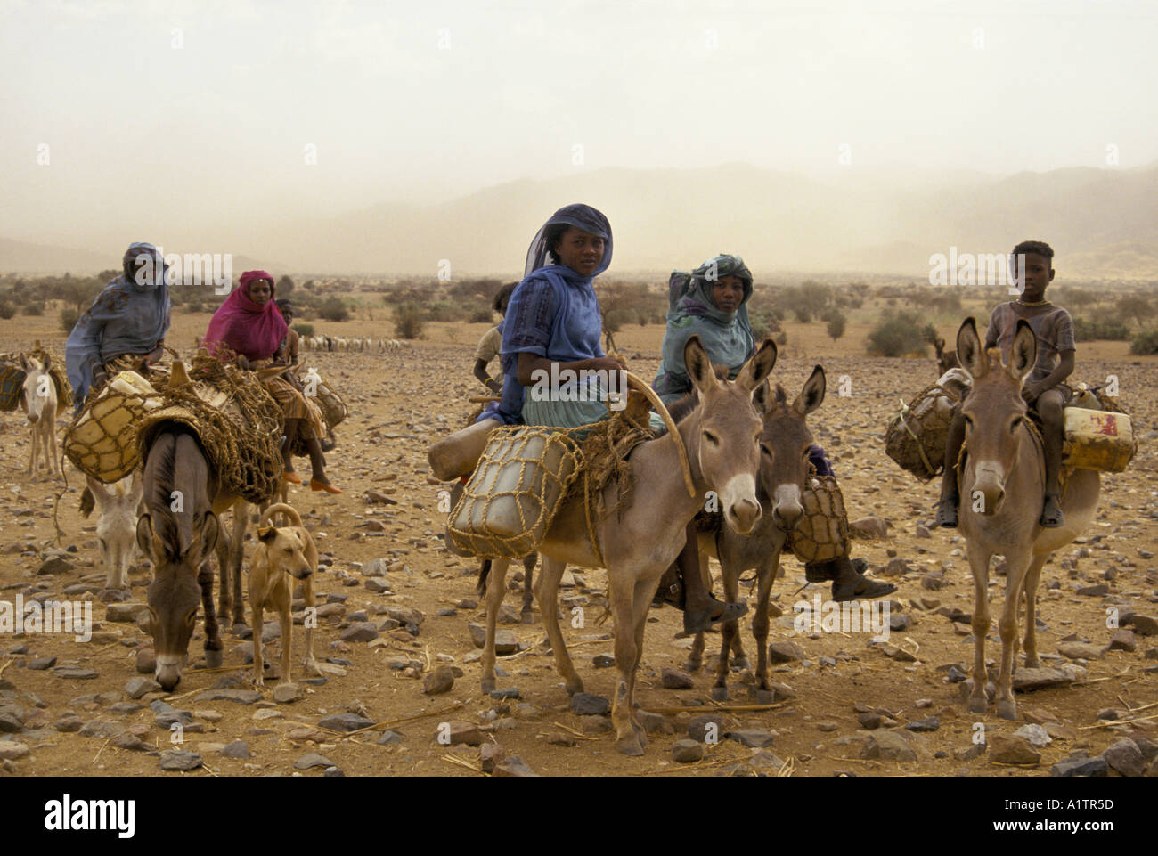 WOMEN RIDING ON MULES FETCHING WATER IN PLASTIC JERRYCANS 1993 Stock ...