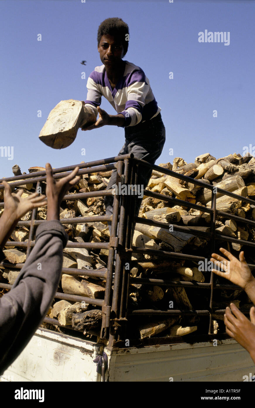 MAN OFFLOADING FIREWOOD FROM TRUCK BY HAND Stock Photo - Alamy