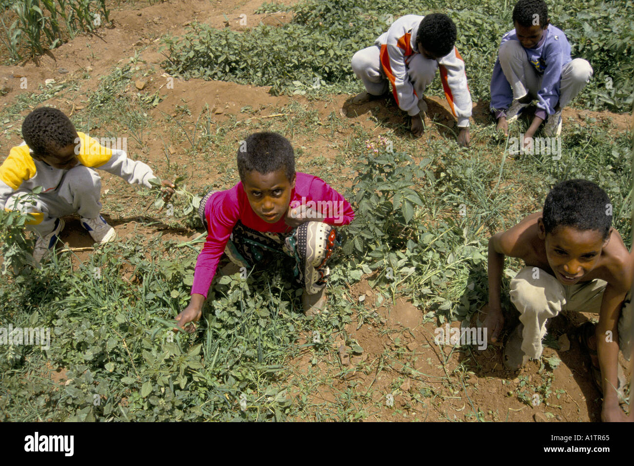 War orphans hi-res stock photography and images - Alamy