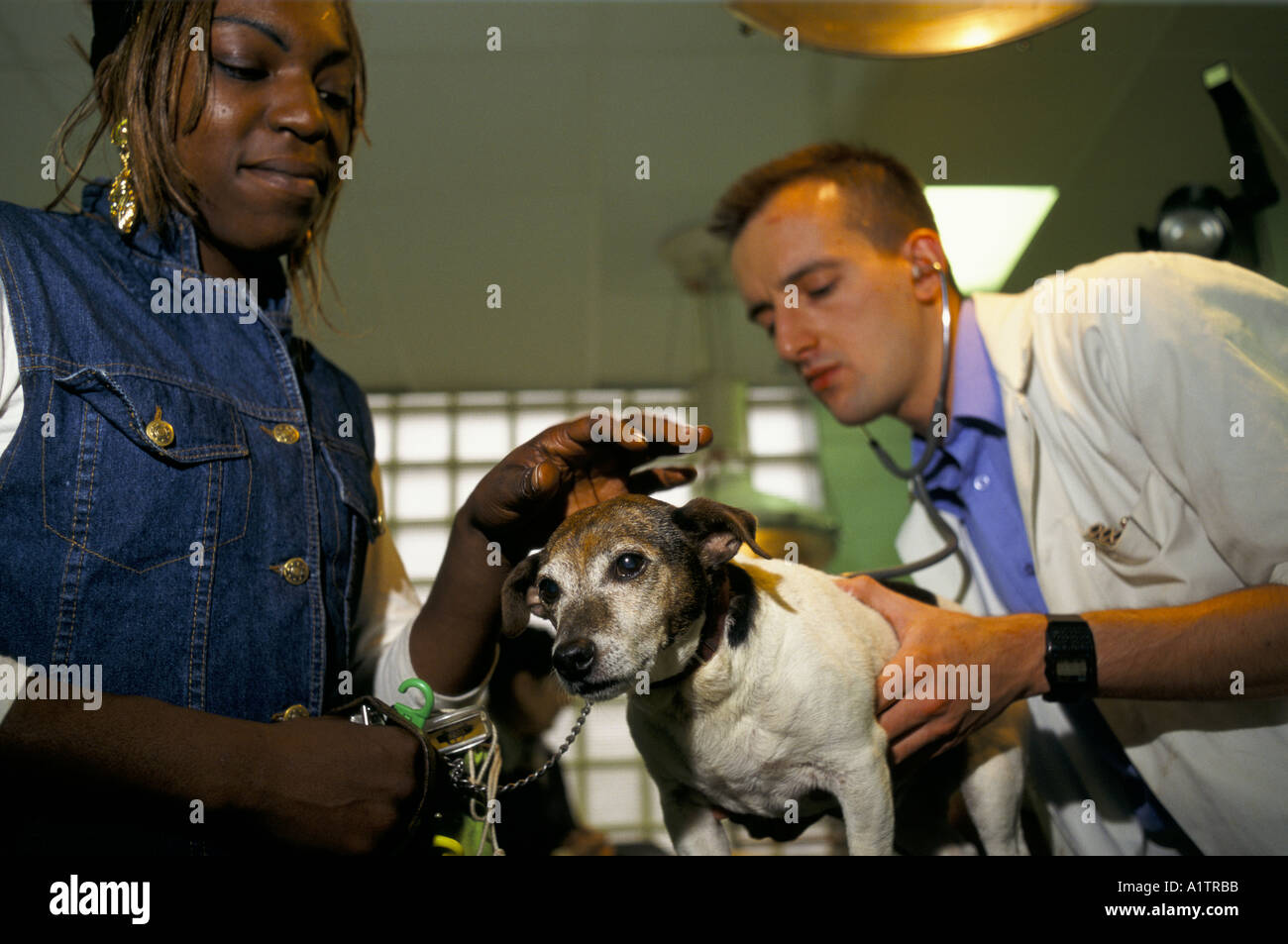 Dog owner at vets hi-res stock photography and images - Alamy