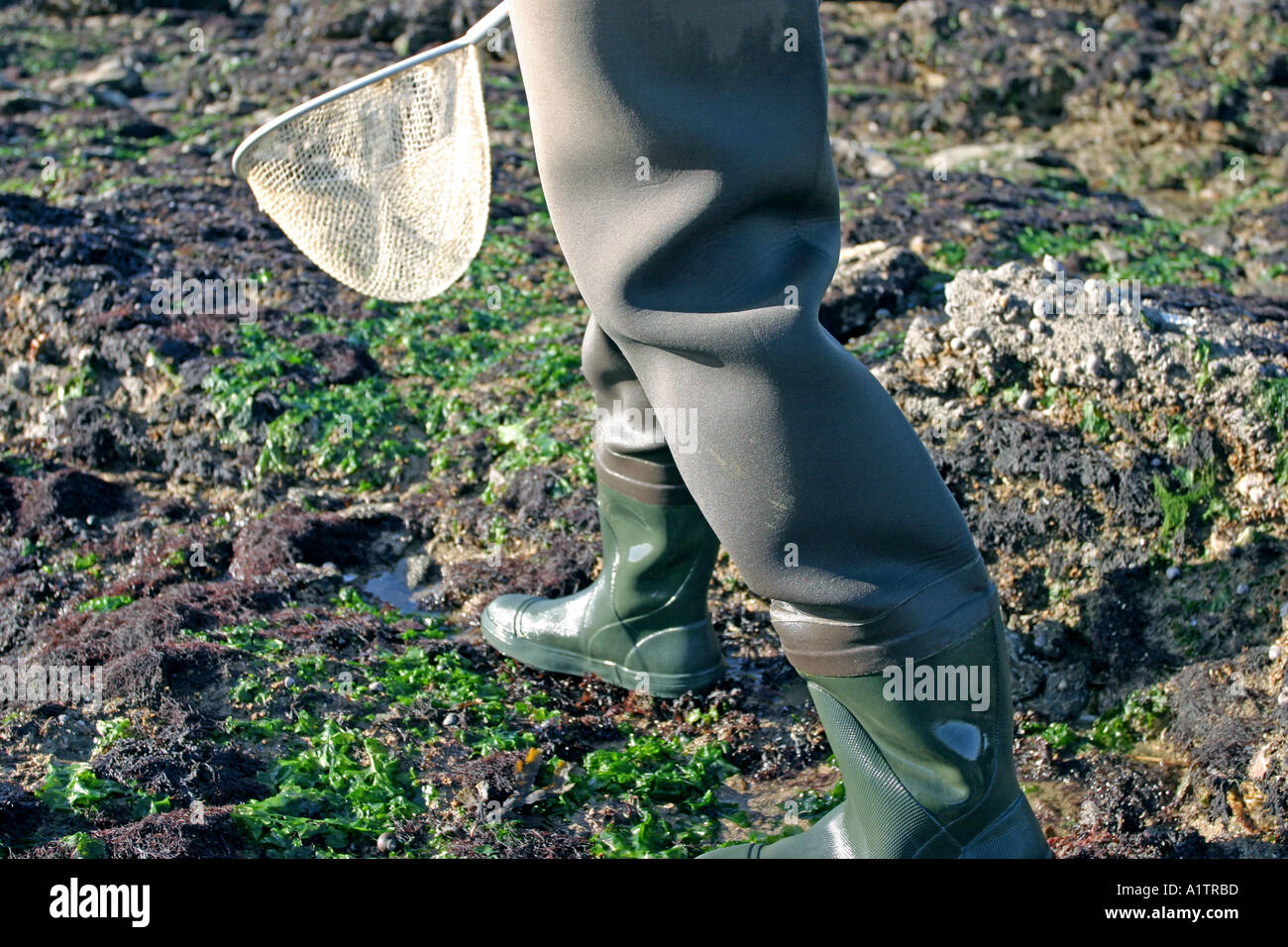 details of boots of man fishing with a fish net in atlantic ocean in ...