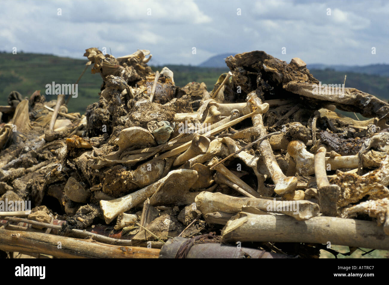 MASS BURIAL IN KADUHA RWANDA 1994 Stock Photo - Alamy