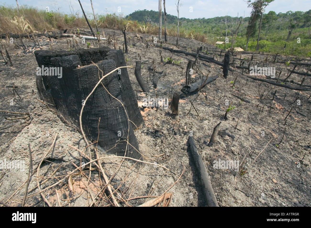 Slash and burn farming fire hi-res stock photography and images - Alamy