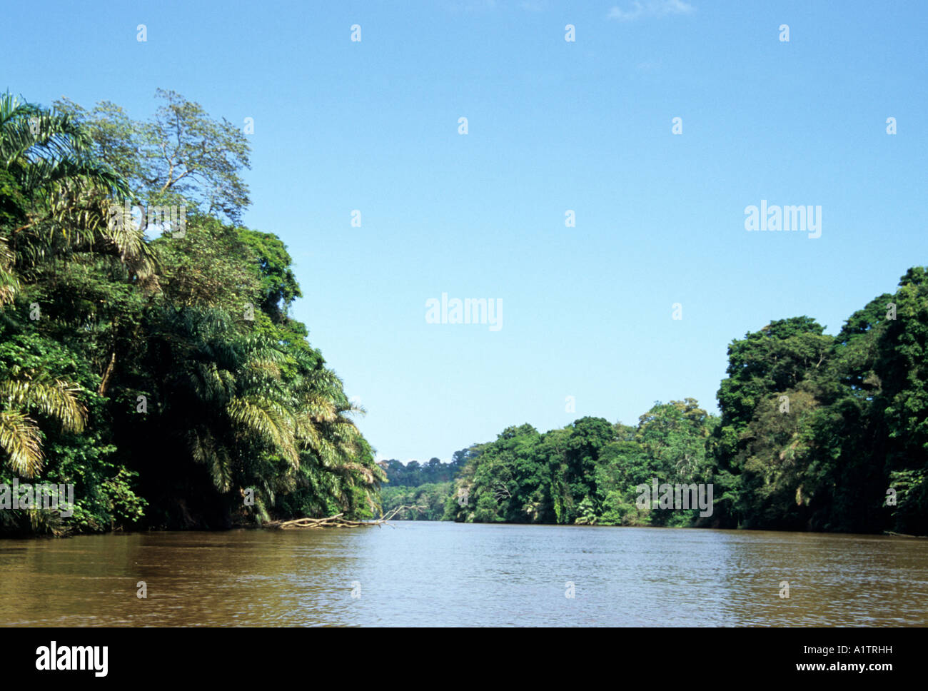 Jungle river scene hi-res stock photography and images - Alamy