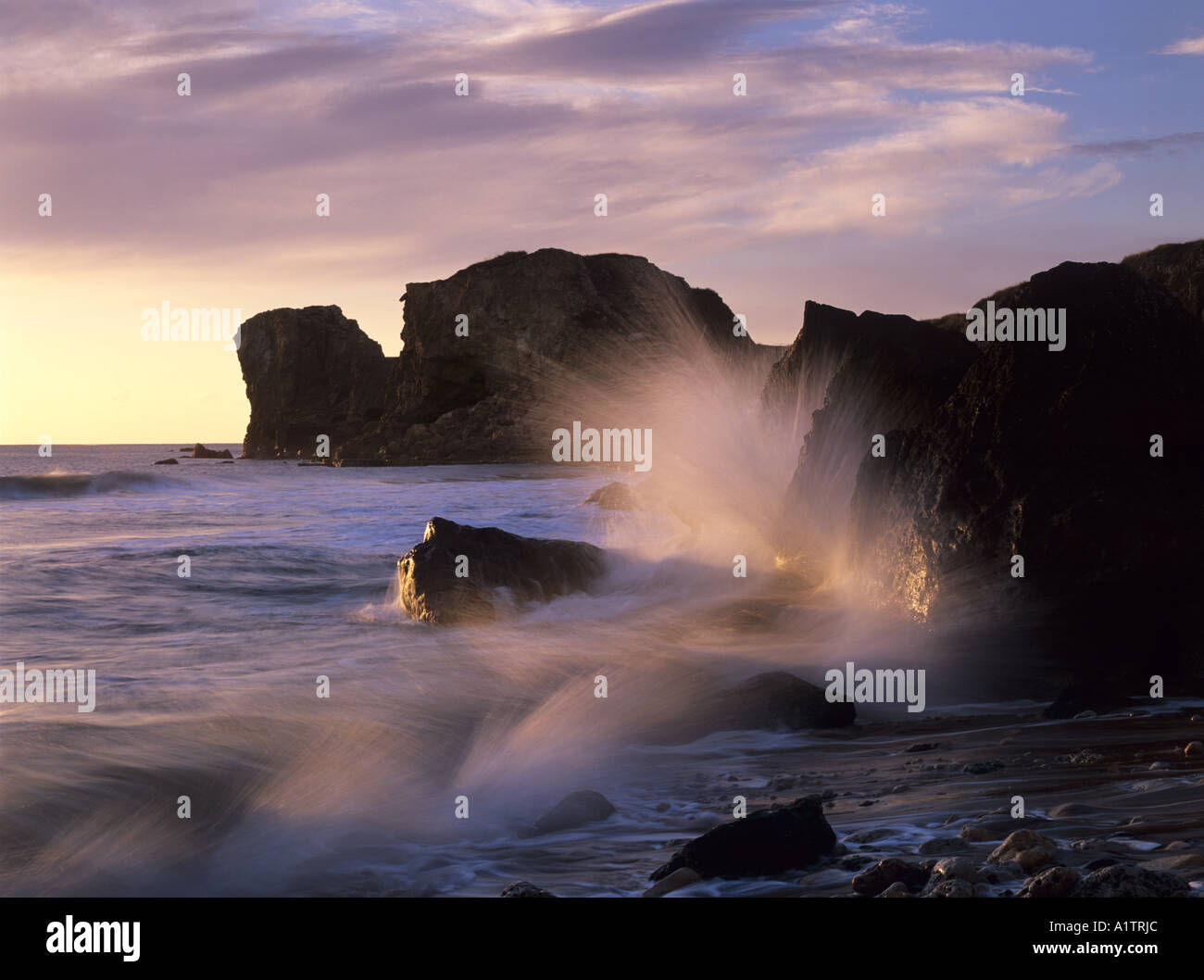 Trow hi-res stock photography and images - Alamy