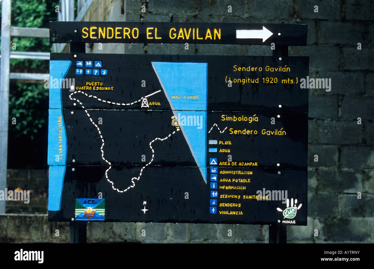 El gavilán hi-res stock photography and images - Alamy