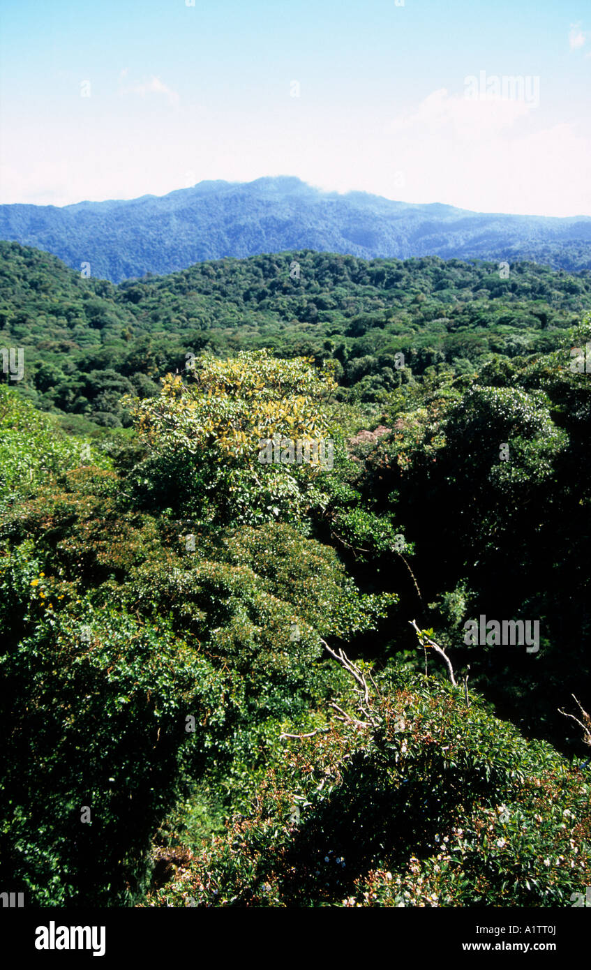 Monteverde Cloud Forest, Costa Rica Stock Photo - Alamy