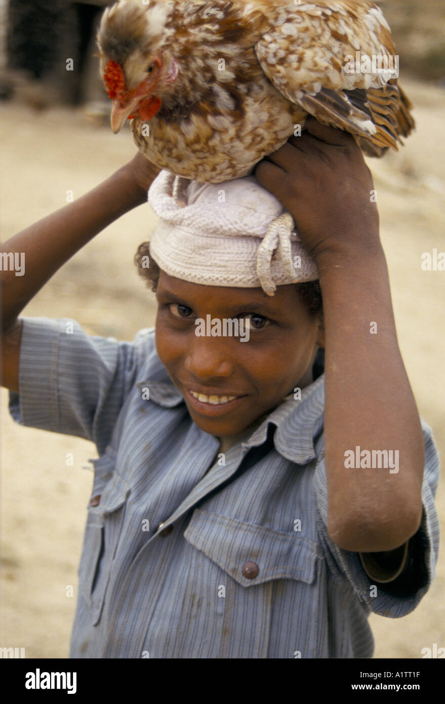 YOUNG BOY HOLDING CHICKEN ON HEAD ERITREA 1993 Stock Photo - Alamy