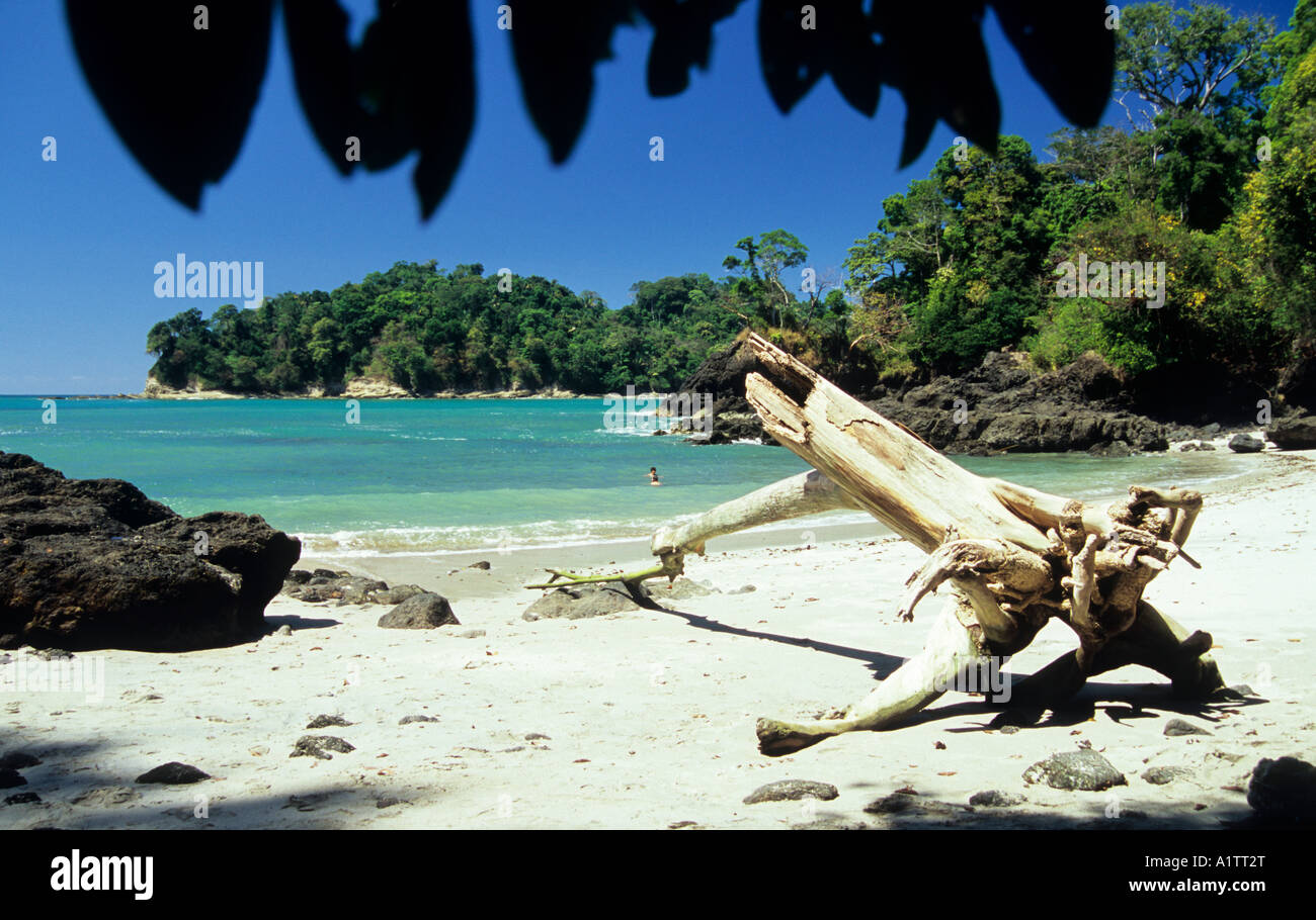 The deserted beach at Manuel Antonio National Park, Costa Rica Stock ...