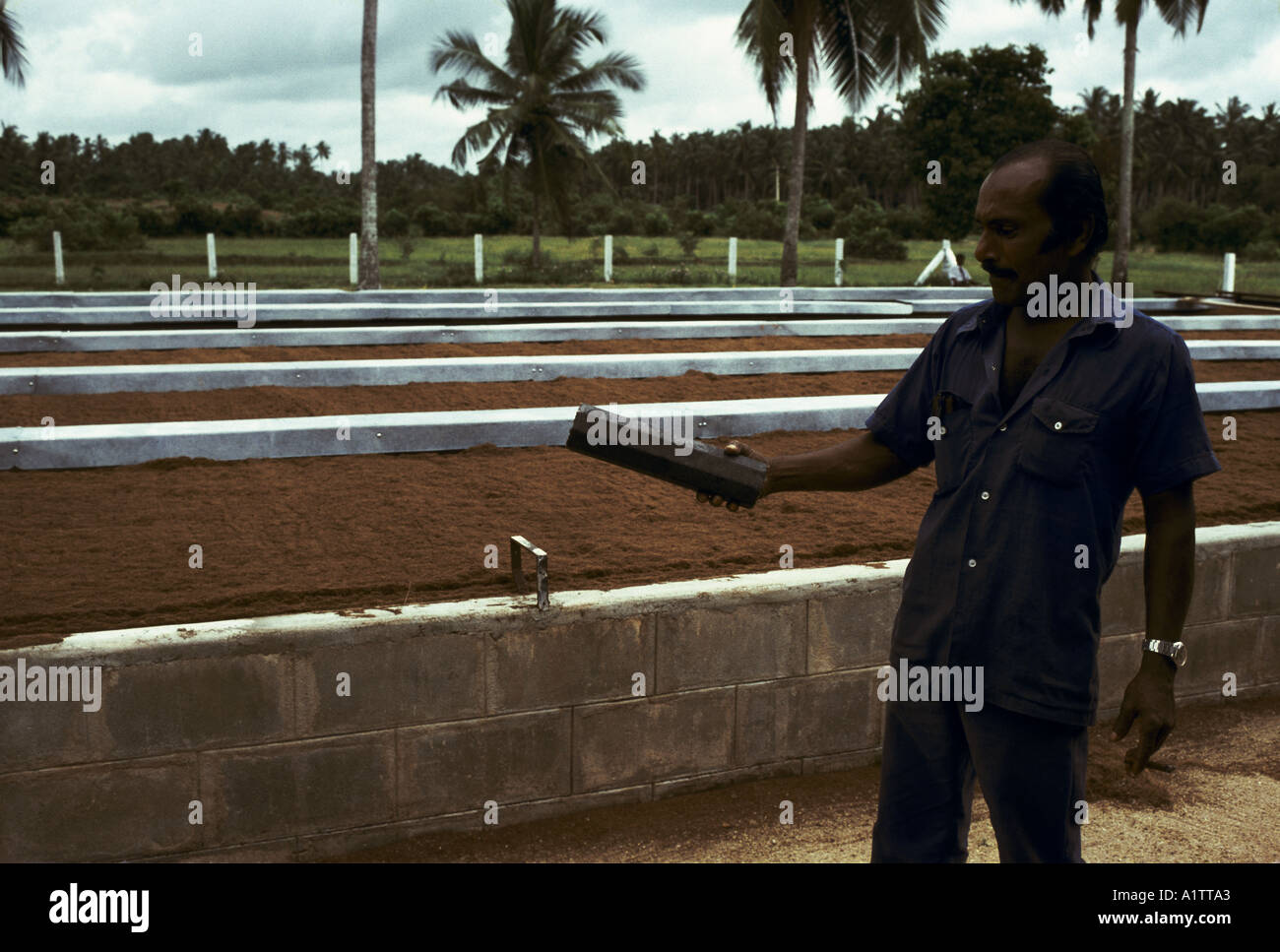 COCONUT FIBRE FUEL BRICKS BEING MADE AS A FUEL SOURCE Stock Photo - Alamy