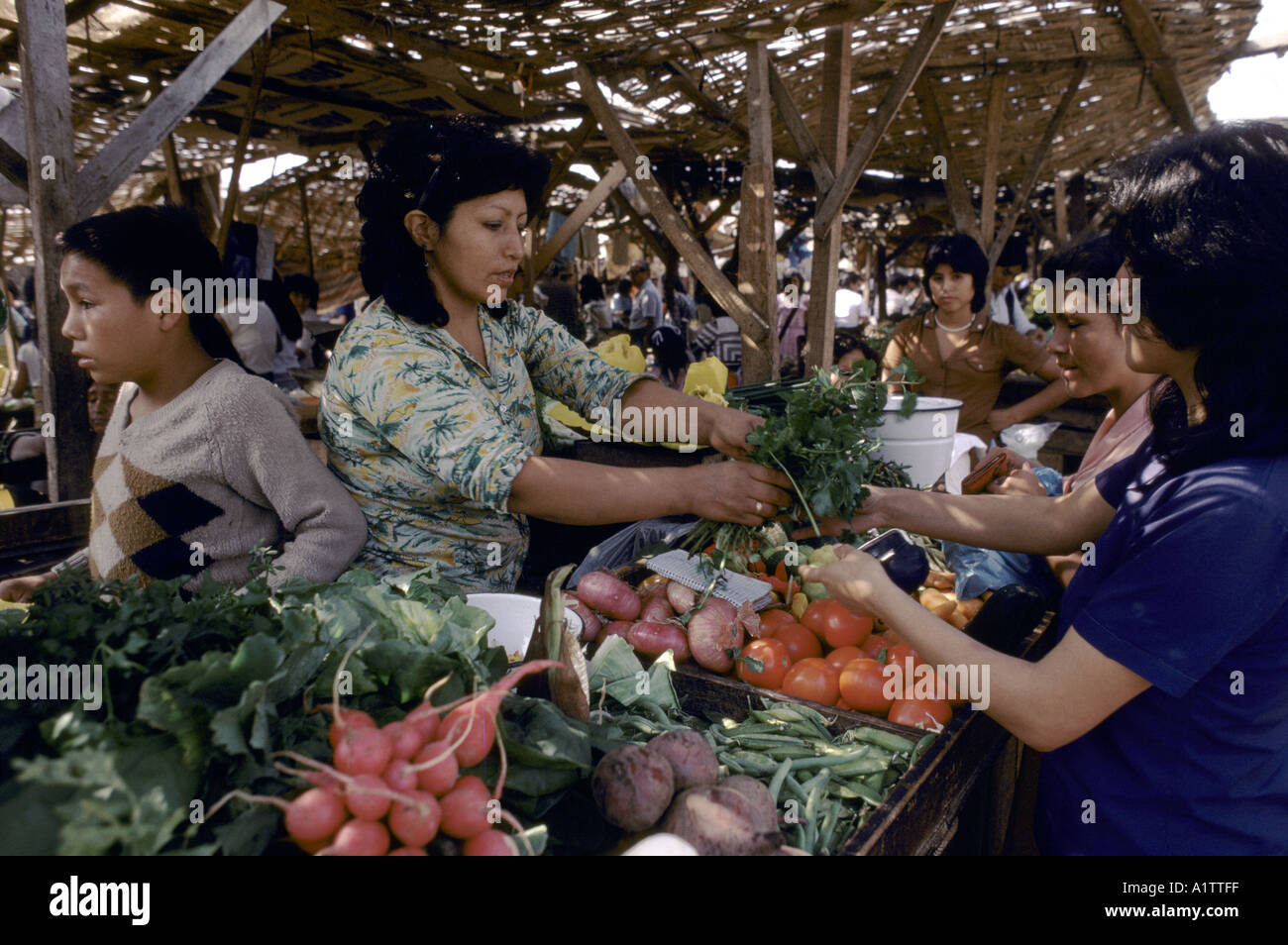 WOMAN AND A GIRL SELLING VEGETABLES ON A STALL SHANTY TOWN MARKET LIMA ...