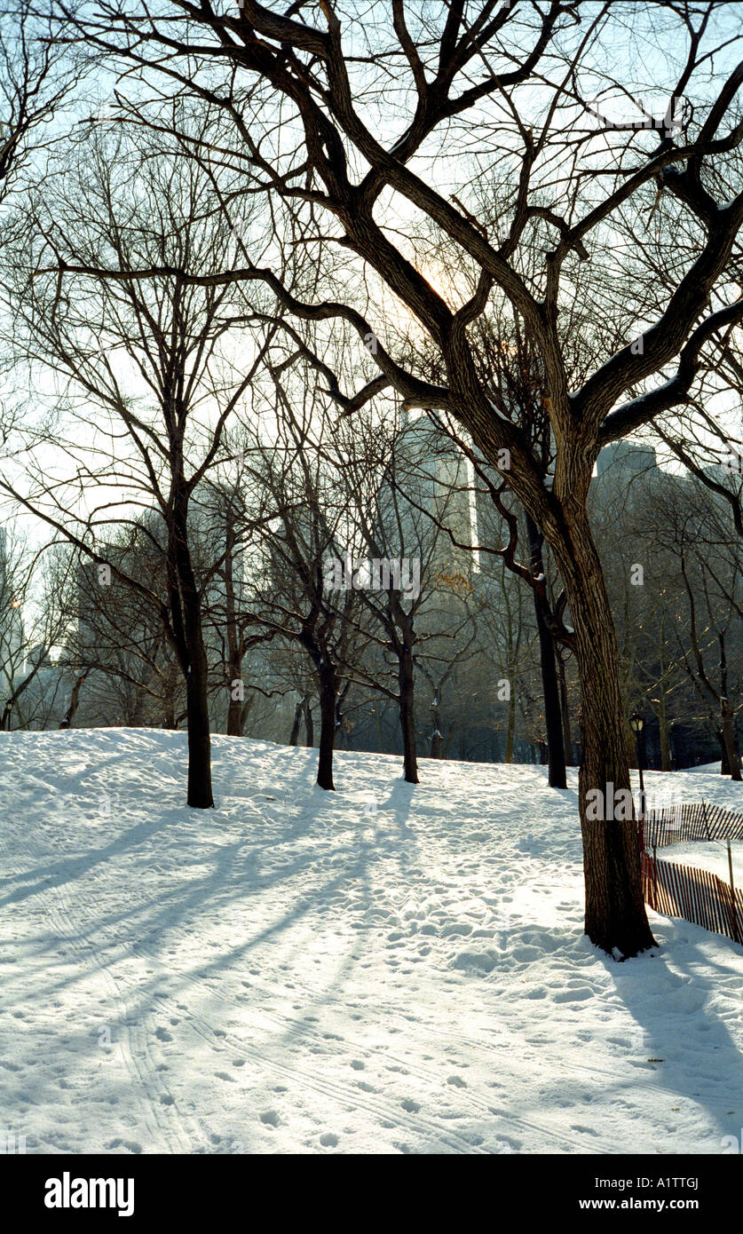Winter in Central Park, New York, USA Stock Photo - Alamy