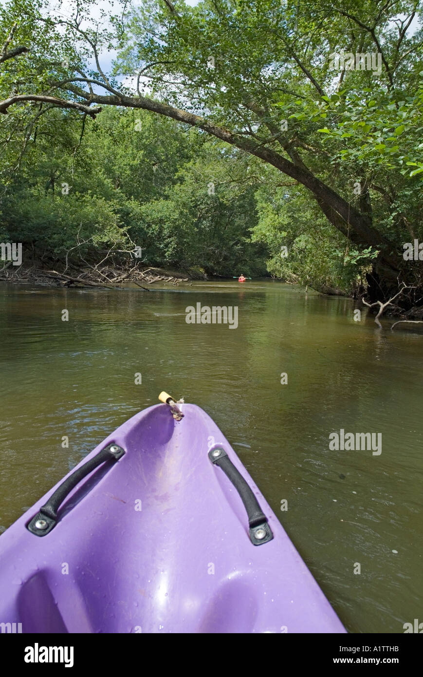 Purple canoe on the Eyre river, Aquitaine, France Stock Photo - Alamy
