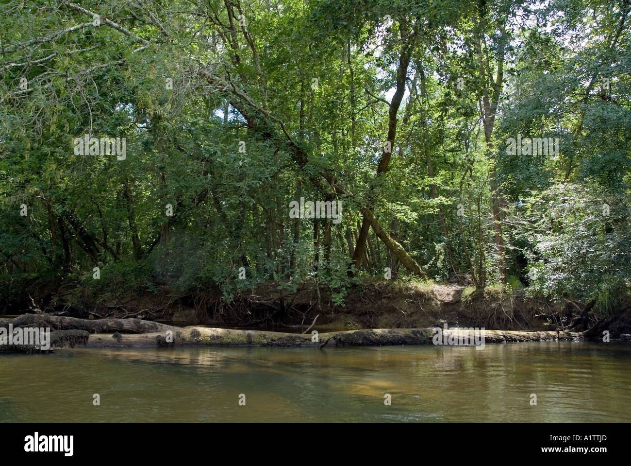 River eyre hi-res stock photography and images - Alamy