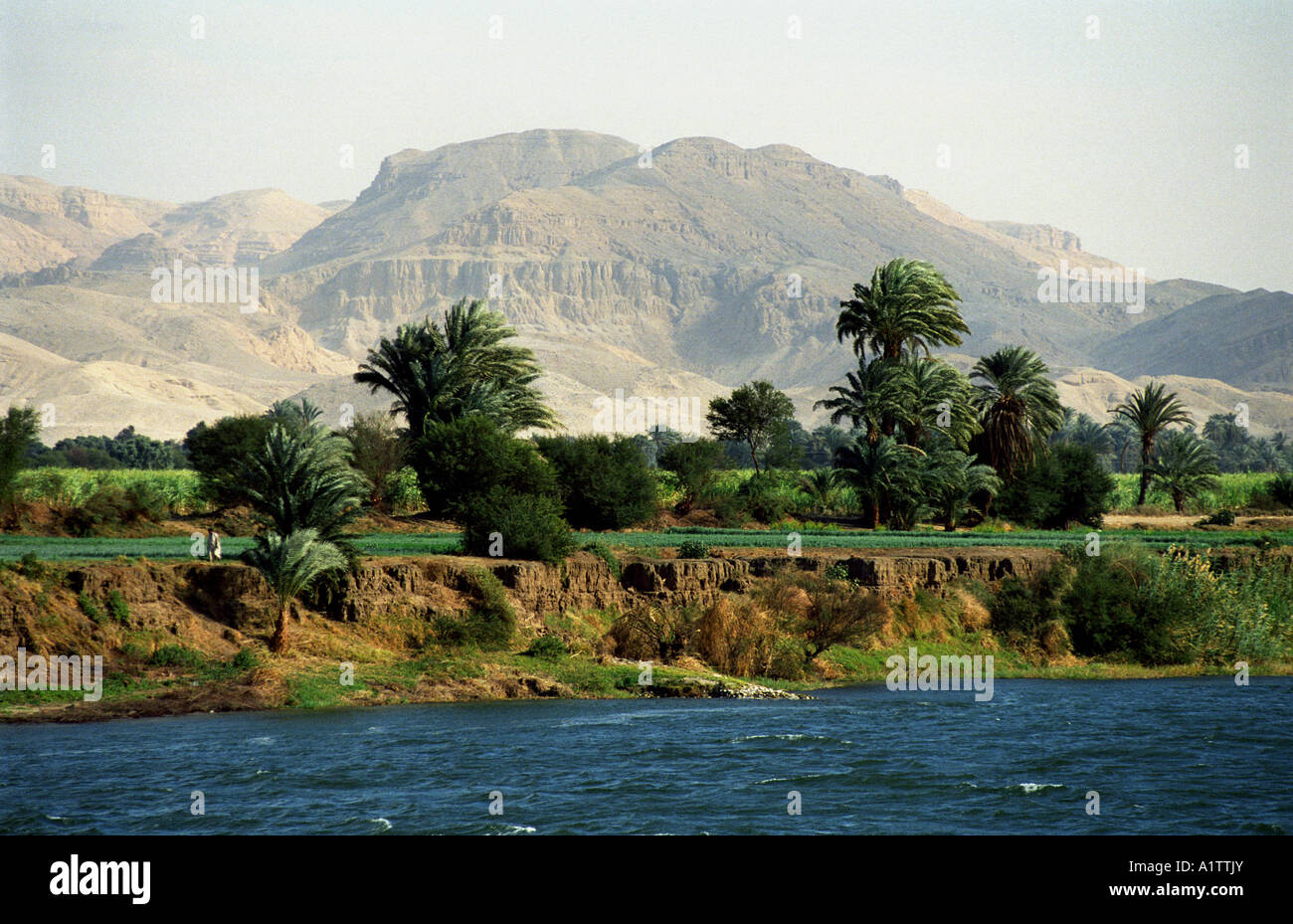 The river Nile, Egypt Stock Photo - Alamy