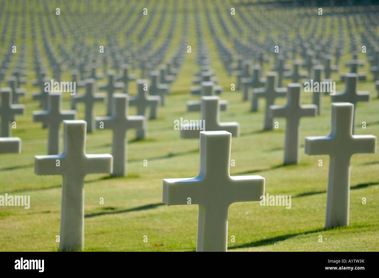 crosses in war cemetery Stock Photo - Alamy