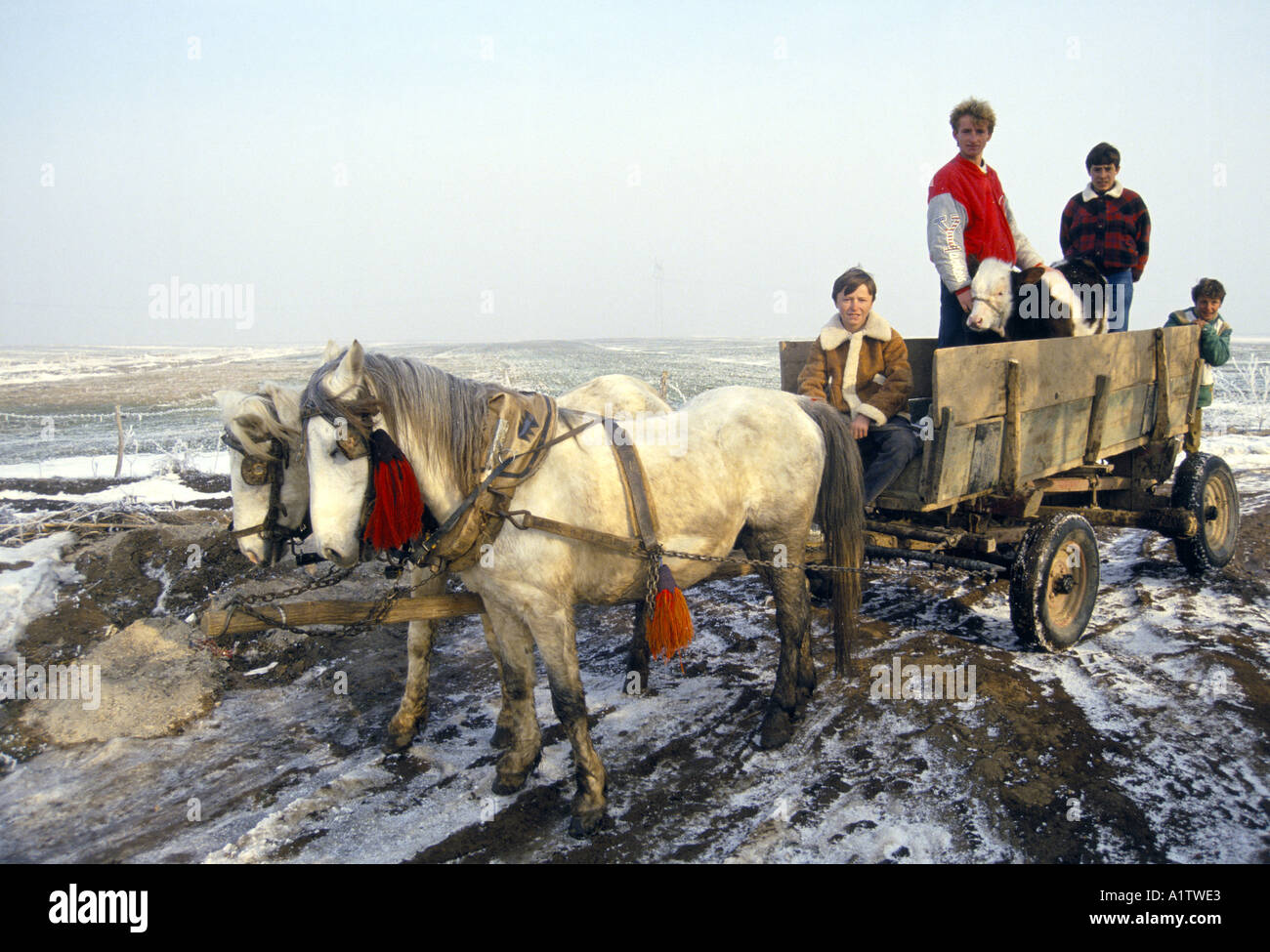 Albanian boys hi-res stock photography and images - Alamy