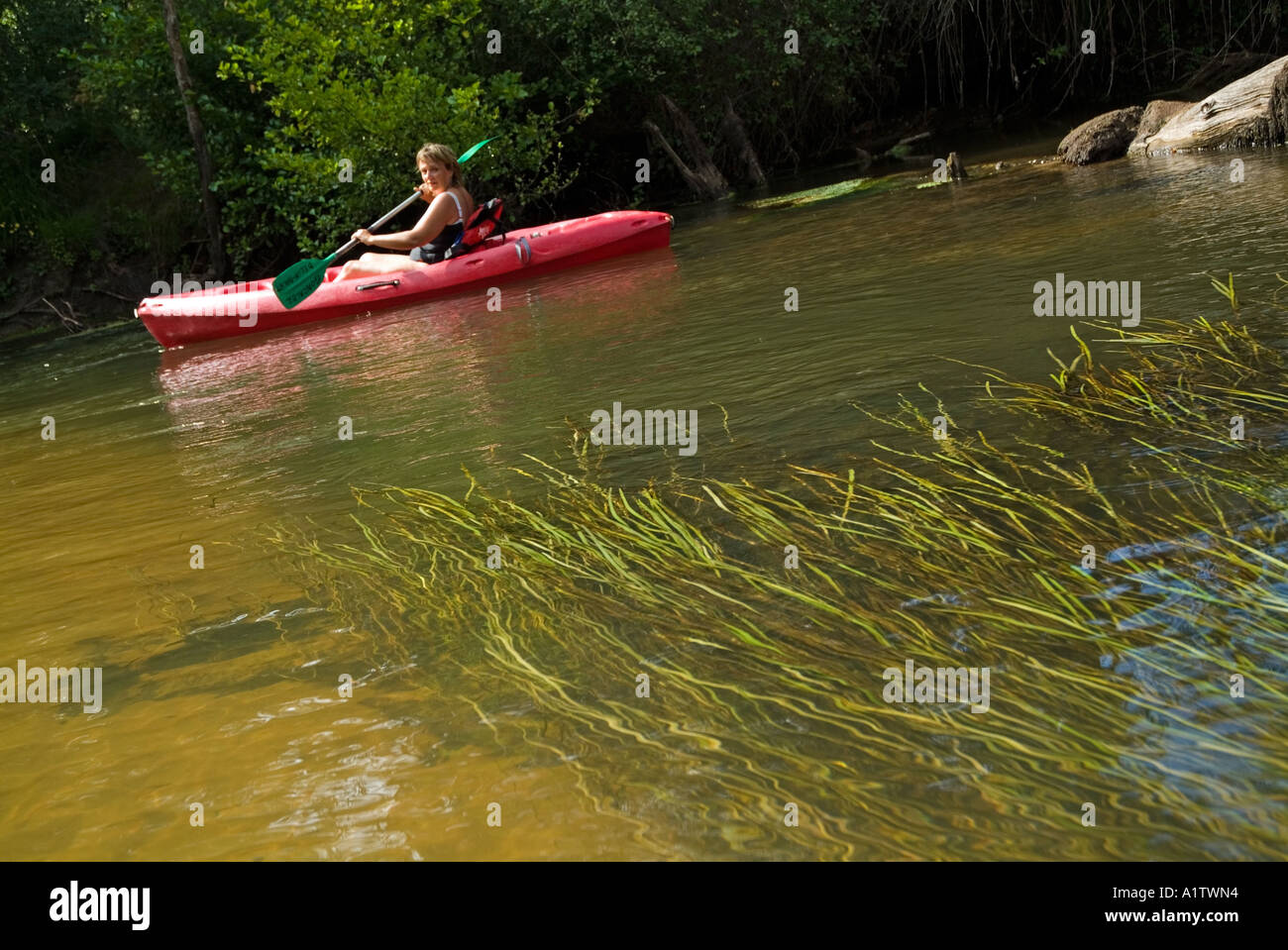 Side profile of a woman canoeing in the river France Stock Photo - Alamy